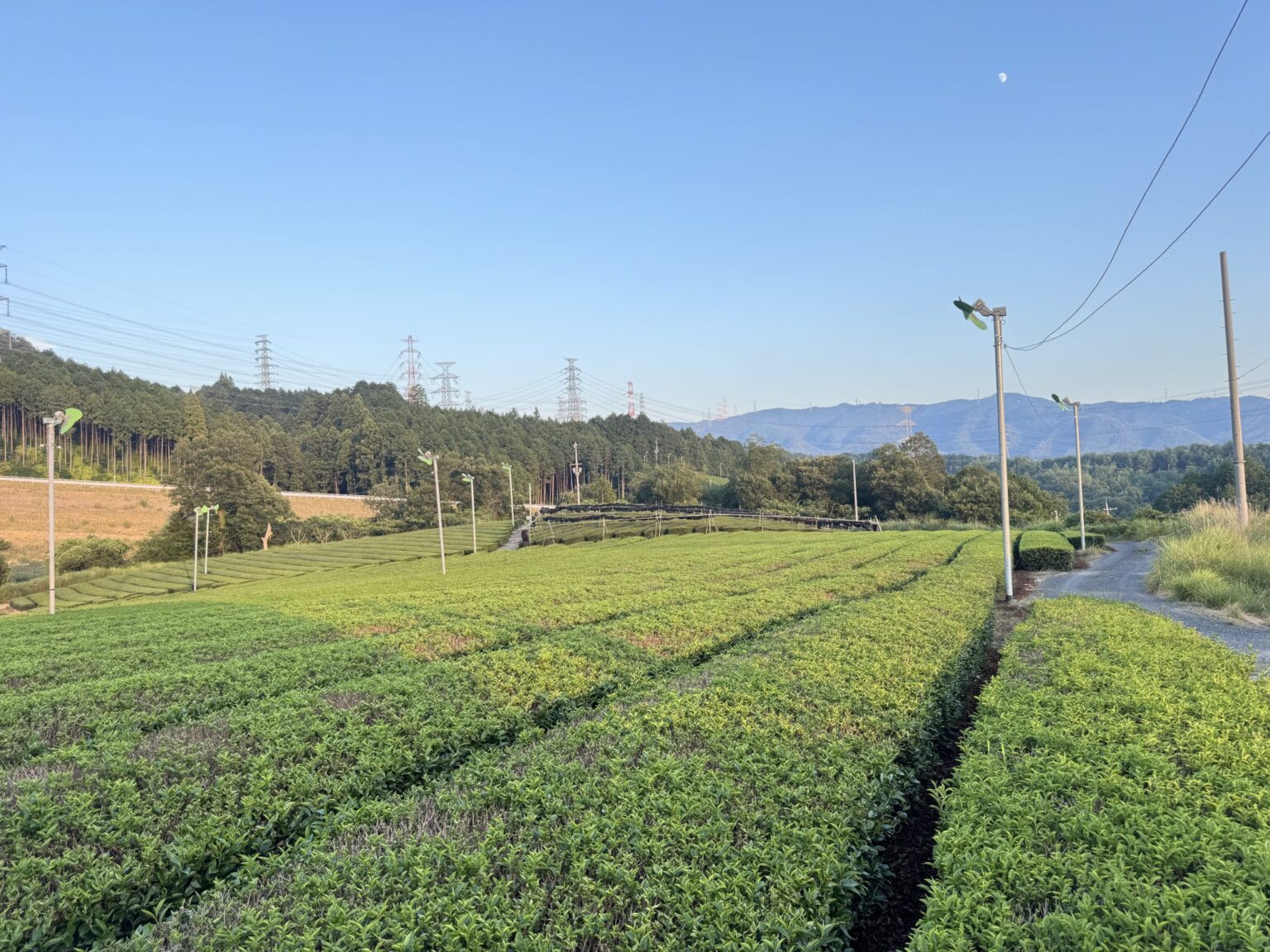 Uji Matcha and Tea Japan - Best and Oldest Matcha Companies in Uji