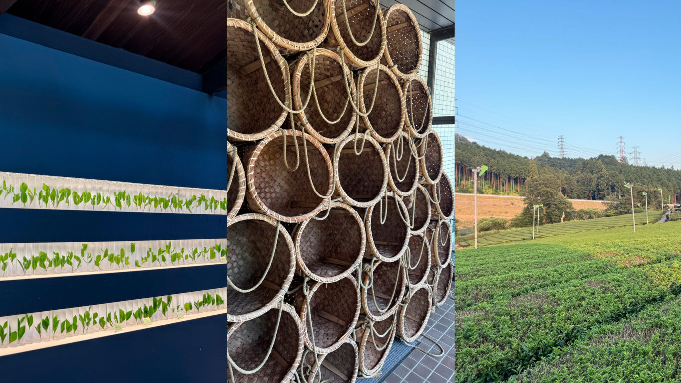 Uji Matcha and Tea Japan - Best and Oldest Matcha Companies in Uji